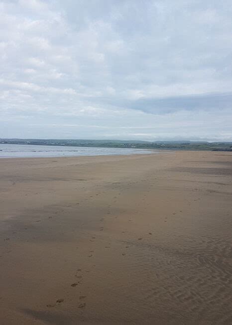 Transfer From Dublin Airport To Nenagh Cab Service Easytransfer