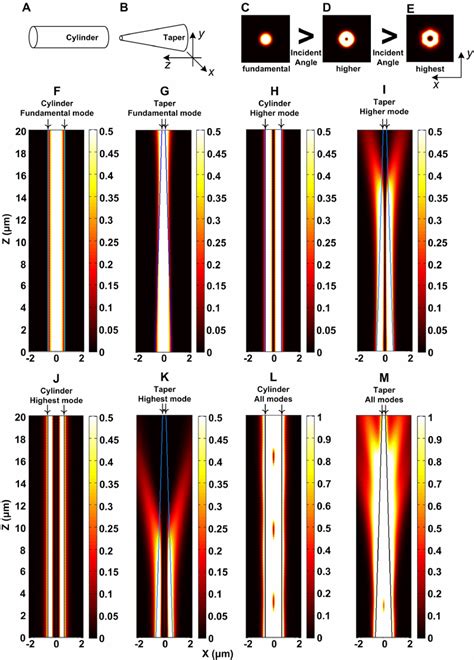 Fdtd Calculation Results Of The Ew And Rw Generated By The Cylindrical Download Scientific