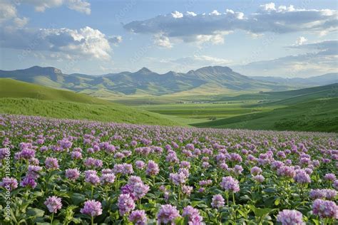 Reorder Point Calculation Enhances Inventory Management And Optimizes