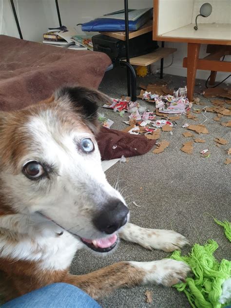 It Just Exploded She Has Zero Idea What Happened Scrolller