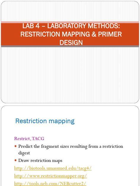 Lab 4 Lab Method Pdf