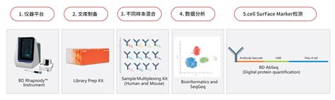 单细胞测序服务 乐备实labex官网 单细胞测序服务 乐备实labex官网