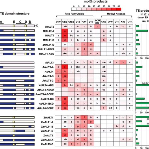 Structural Composition Substrate Specificity And Productivity Of Download Scientific Diagram