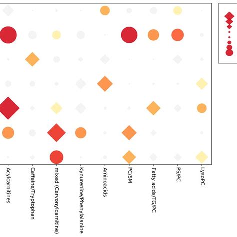 Simplified Cross Correlation Partial Correlation Analysis Of