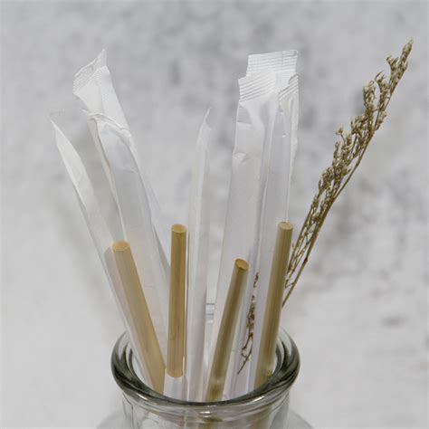 Wholesale Eco Friendly Biodegradable Disposable Cocktail Drinking Straw
