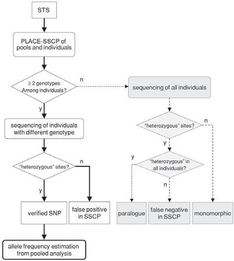 Flow Chart Of The Characterization And Allele Frequency Estimation Of