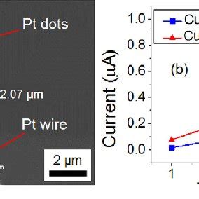 Color Online Schematic Diagram Showing The Experimental Setup For Download Scientific Diagram