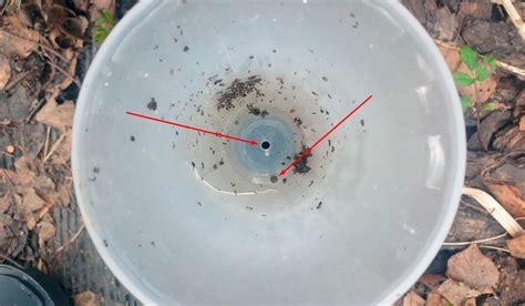 Рискуете получить муравейник на ножке такие уличные фонарики на солнечных батарейках брать нельзя