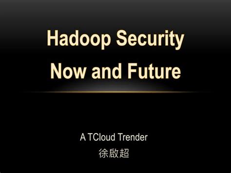 Hadoop Security Now And Future Pdf Web Development Internet
