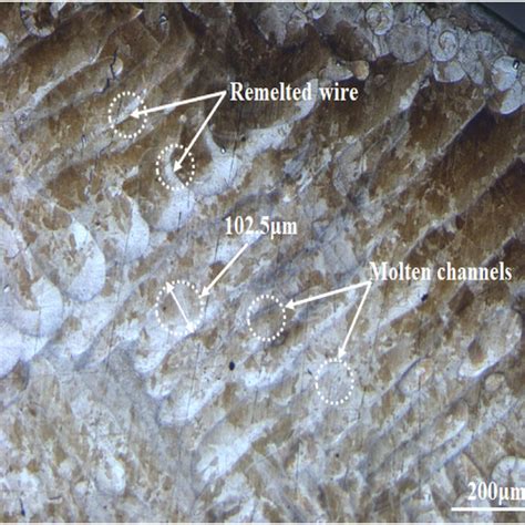 Microstructure Of Fabricated Side Surface Of The Selective Laser Download Scientific Diagram
