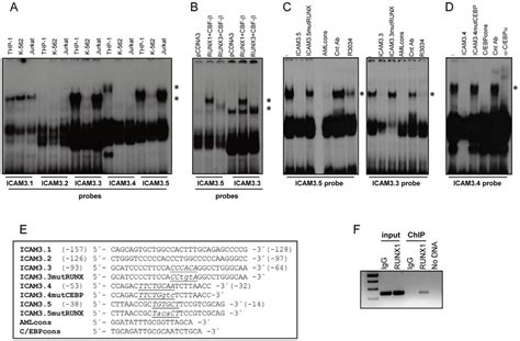 Identification And Characterization Of Runx And Cebp Binding Elements