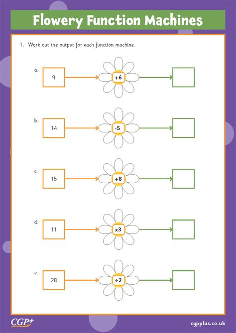 flowery function machines foundation year 6 cgp plus