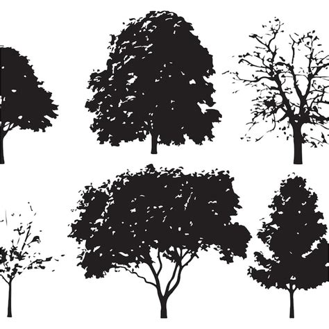 Коллекция Реалистические групповые деревья Изолированные силуэты Векторный иллюстратор Премиум