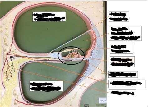 Scala Diagram Quizlet