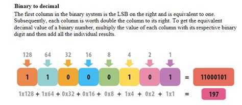 Computer Science Beestar Org