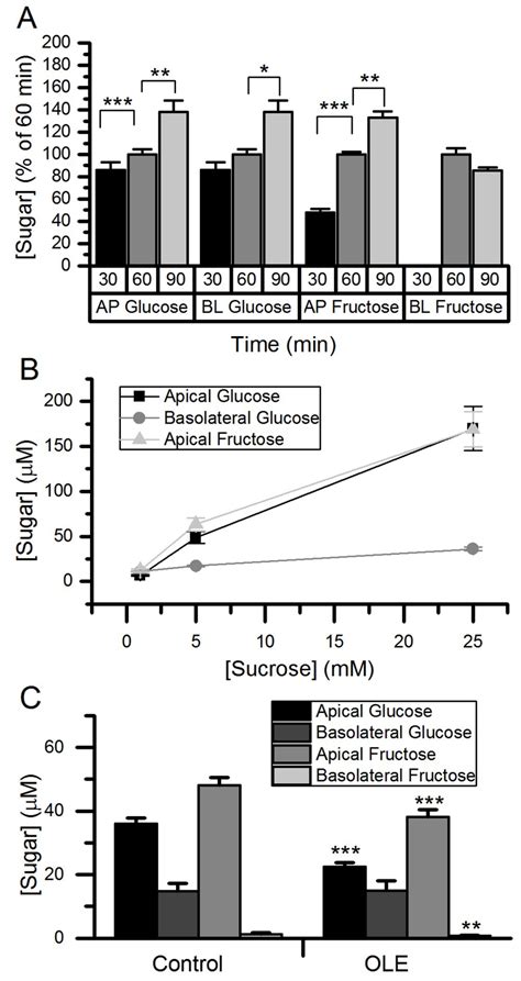 Hydrolysis And Transport Of Sucrose In Caco 2tc7 Cells A Time Course Download Scientific
