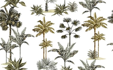 22 Cocout Tree Royalty Free Photos And Stock Images Shutterstock