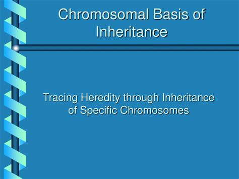 PPT Chromosomal Basis Of Inheritance PowerPoint Presentation Free Download ID 3215326