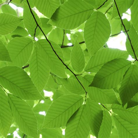 سکس با خواهرزنم مریم