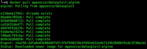 Alpine Docker Image For Datasploit By Madhu Akula Appsecco
