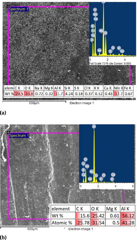 SEM Graphs At The Surface Layer Download Scientific Diagram