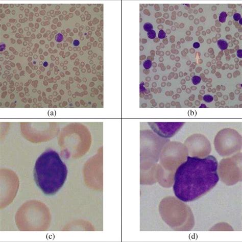 The Visual Representation Cs Attribute Map Hsv Input Images And