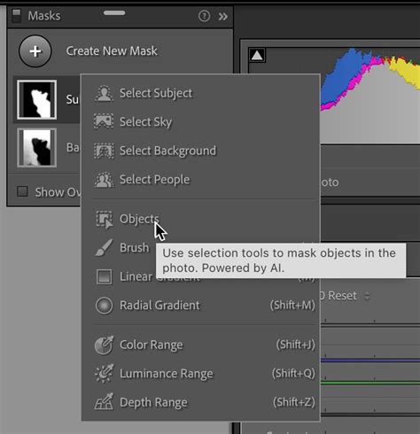 Select Objects Schenectady Photographic Society