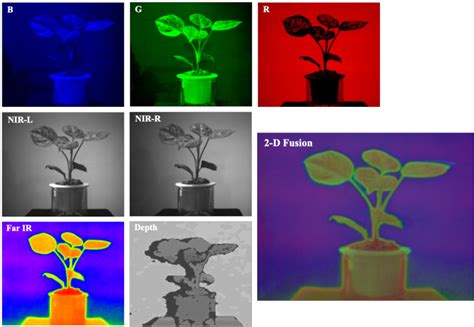 2 D Spectral Images Obtained From Our Module And A 2 D Mixed Spectral Download Scientific