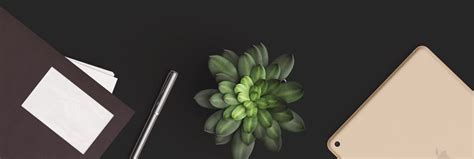 Landing 12 Zippy Robotics Inc