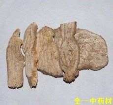 狼毒 狼毒价格 中药狼毒 全一中药材