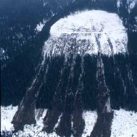 4 The Avalanche Risk Management Process The Center Of The Diagram Download Scientific Diagram