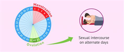 Alternate Sexual Relations