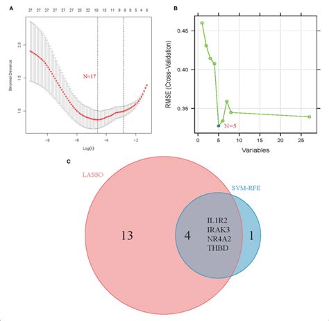screening process of diagnostic biomarker candidates for acute