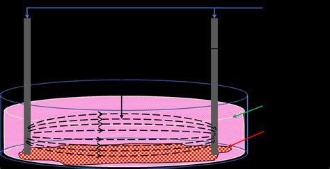 Electric Field Lines In Cell Culture 15 Download Scientific Diagram