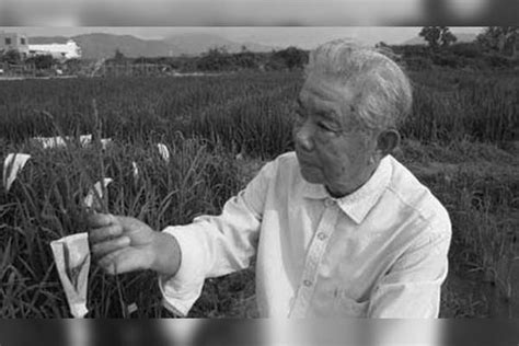 “南袁北杨”俱往矣！著名水稻专家杨振玉逝世，享年95岁