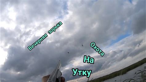 Вечерняя зорька в болоте охота на утку Youtube