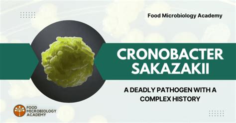 Cronobacter Sakazakii A Deadly Pathogen With A Complex History Food