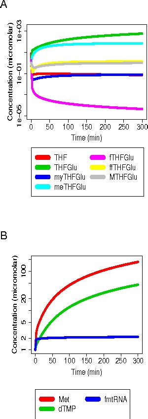 Figure 2 From A Mathematical Model Of Microbial Folate Biosynthesis And Utilisation