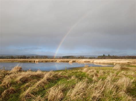 New Natural Flood Management Project Announced To Revive Floodplain