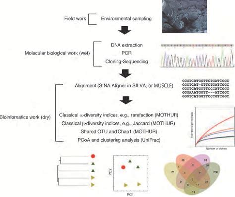 Figure 1 From Microbial Biodiversity And Biogeography On The Deep Seafloor Semantic Scholar