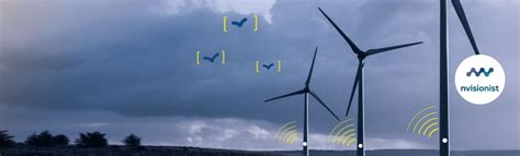 Nvbird Bird Detection And Monitoring System Linkedin