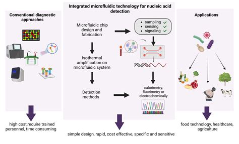 Prospects Of Microfluidic Technology In Nucleic Acid Detection Approaches