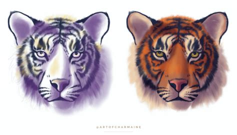 Draw And Paint A Tiger Steps And Process — Charmaine Art And Illustration