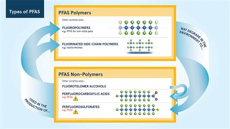 Pfas Science The Basics Pfass My XXX Hot Girl