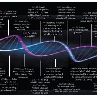 RNA Seq Computational Pipeline Download Scientific Diagram