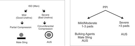 Which Procedure To Do Figure How Do We Select Download Scientific Diagram