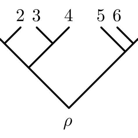 Example Of A Rooted Phylogenetic Tree Left And An Unrooted