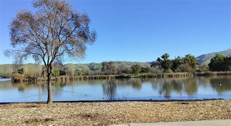Lake Elizabeth Fremont Ca Creek