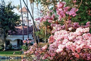 15 Best Things To Do In Arcadia California Artofit